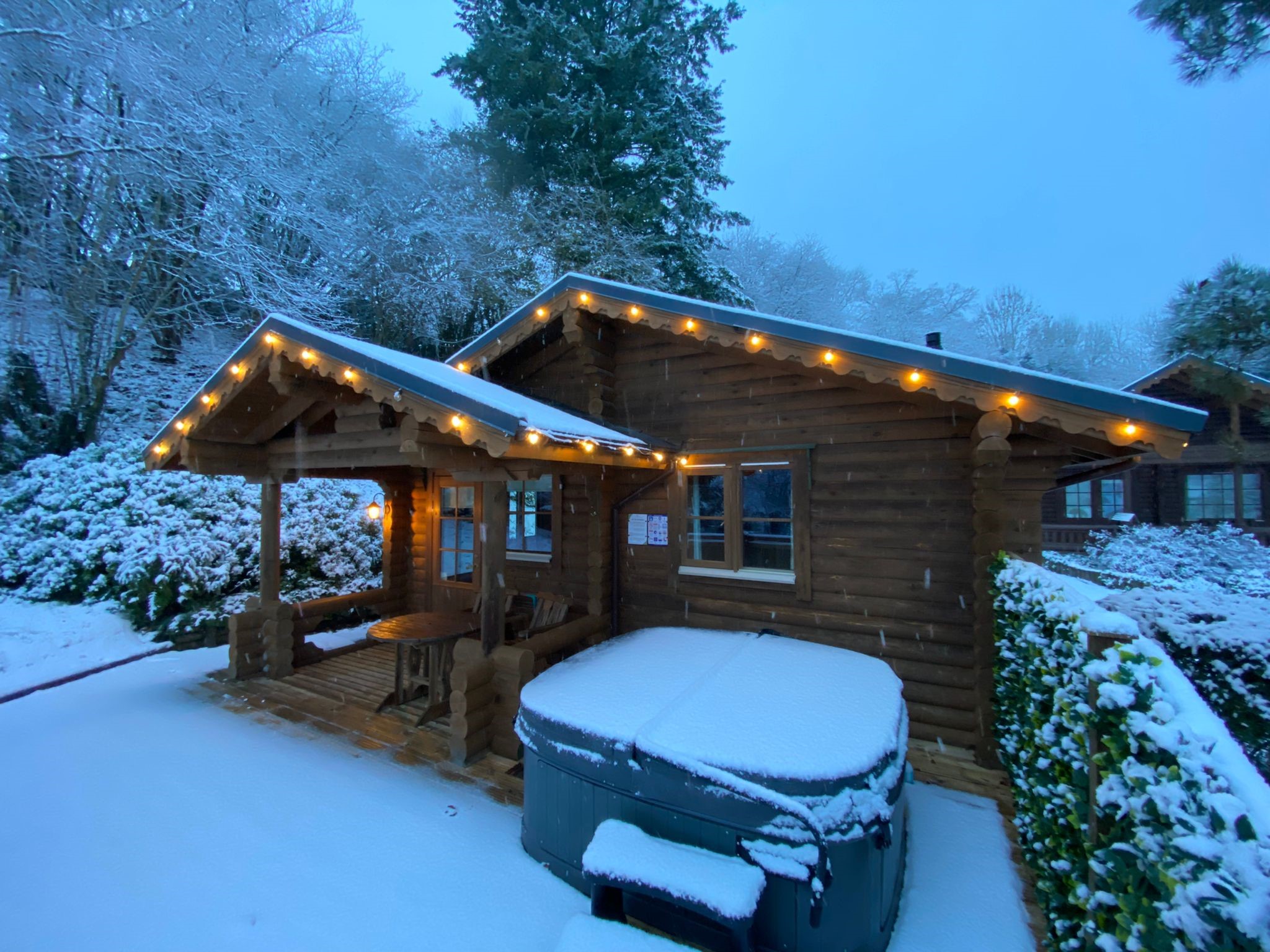 Maple - Aymestrey Lodges